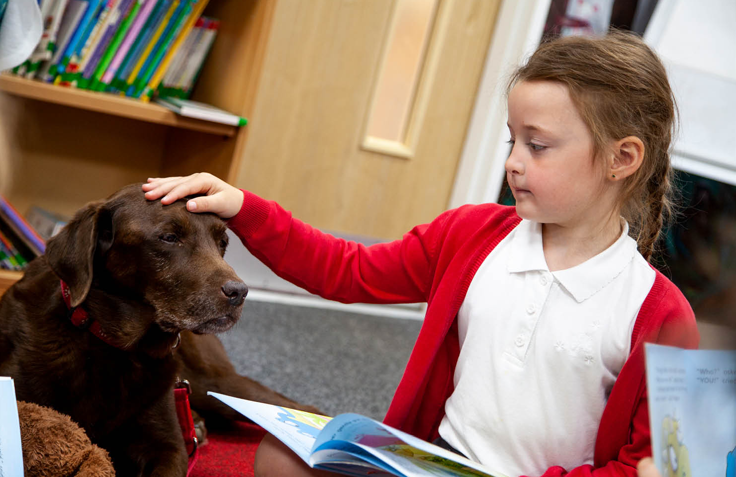 Prospectus – William MacGregor Primary School